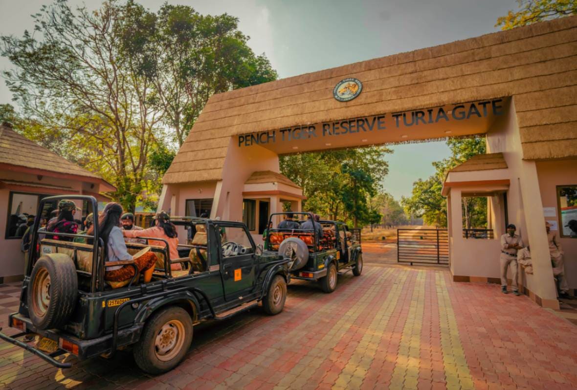 Pench National Park: A Complete Guide - National Parks of India