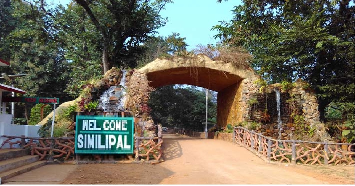 Simlipal National Park: A Complete Guide - National Parks of India