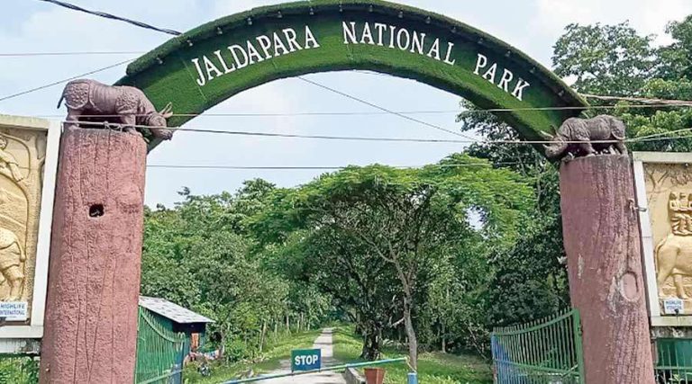 Jaldapara National Park: A Complete Travel Guide - National Parks of India