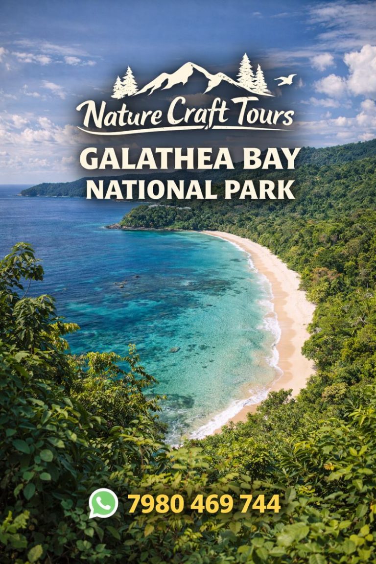 Galathea Bay National Park: A Detailed Guide - National Parks of India