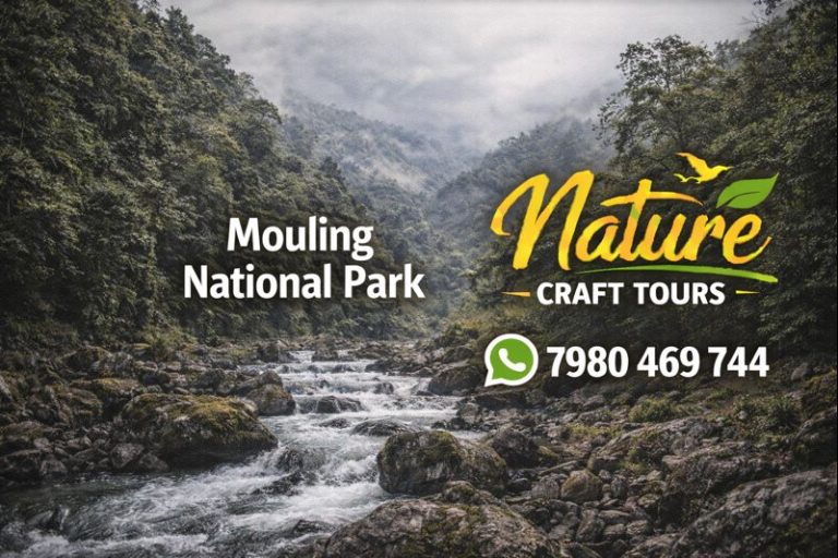 Mouling National Park: A Guide to Arunachal Pradesh’s Pristine ...