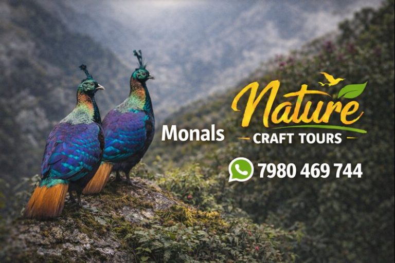 Mouling National Park: A Guide to Arunachal Pradesh’s Pristine ...