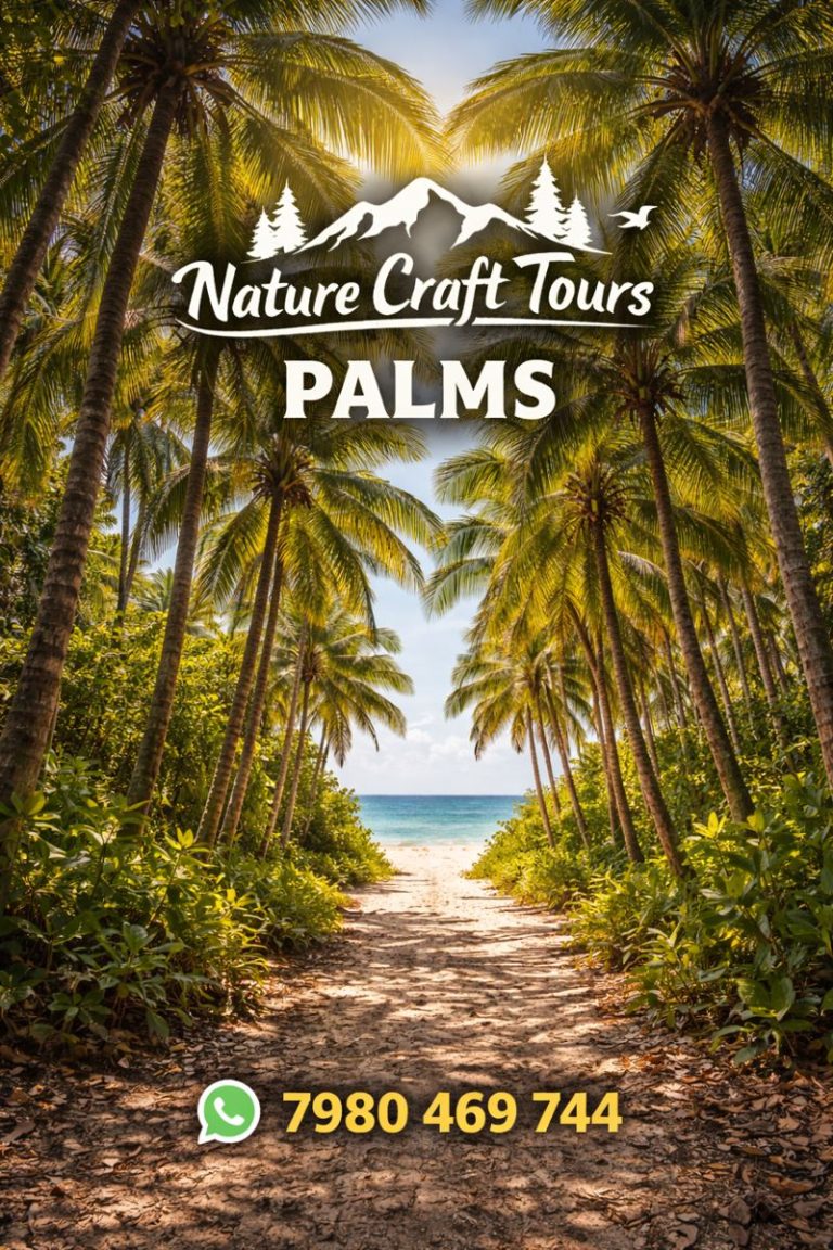 Galathea Bay National Park: A Detailed Guide - National Parks of India