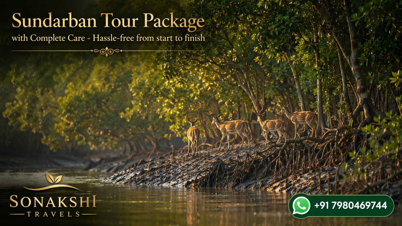 Sundarban Tour Package with Complete Care Guide
